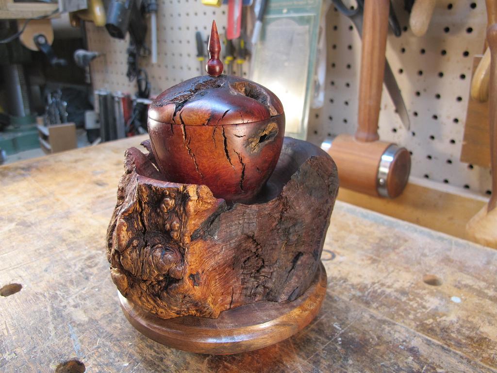 Emerging From The Chrysalis - Woodworking Project by Lew | Craftisian