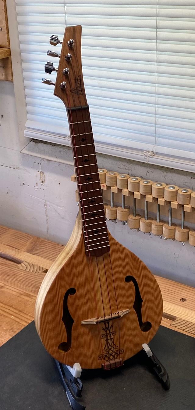 Mandolele - Woodworking Project by Rhoots - Craftisian