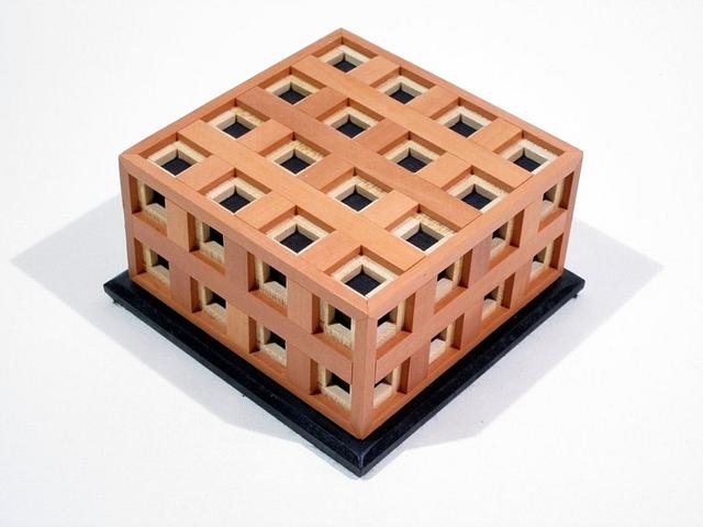 The Cage - Woodworking Project by Britboxmaker - Craftisian