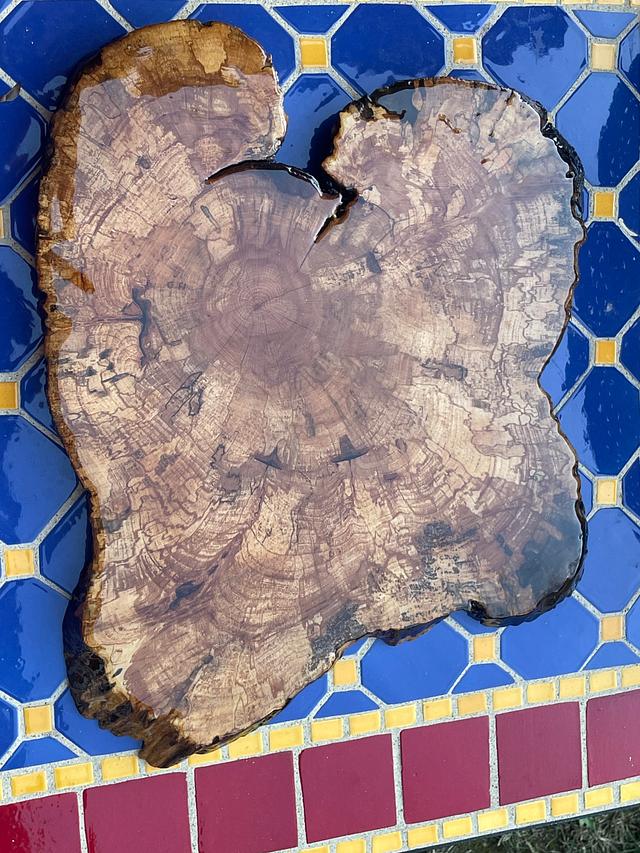 Spalted Elm Center Piece - Woodworking Project by Don - Craftisian