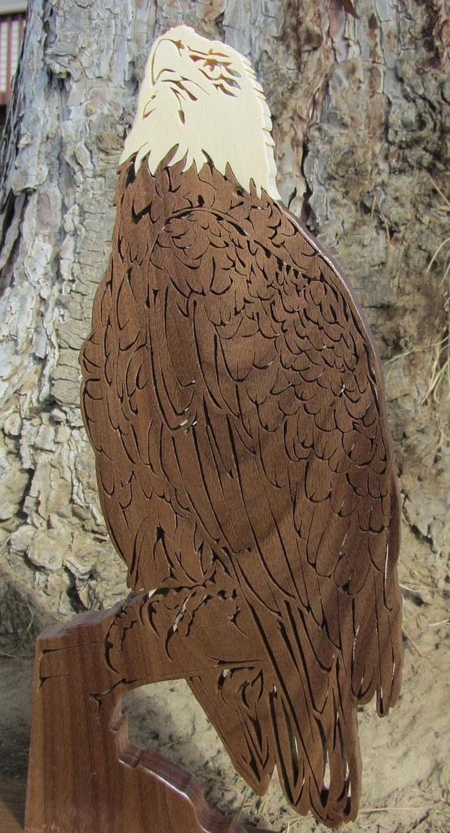 Bald Eagle - Woodworking Project by Scrappile - Craftisian