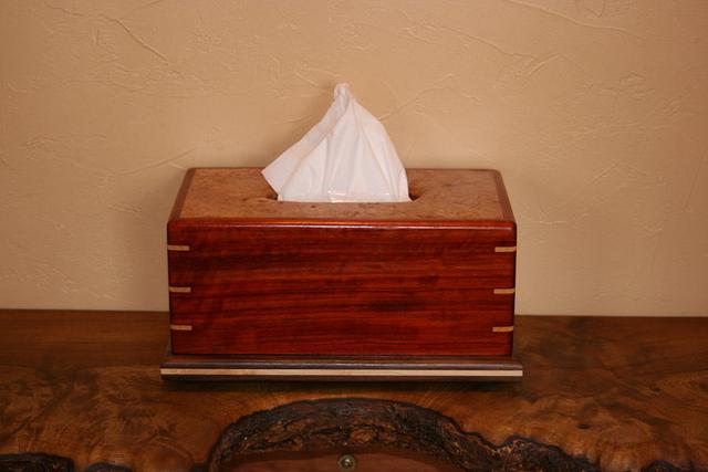 kleenex boxes - Woodworking Project by Pottz - Craftisian