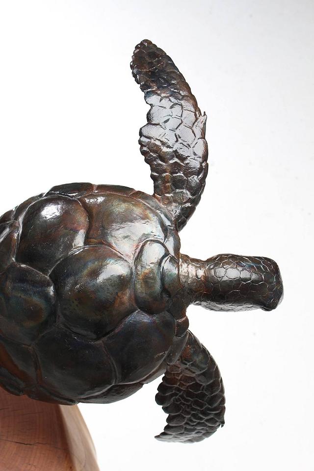 Sea Turtle - Metalworking Project by WestCoast Arts - Craftisian