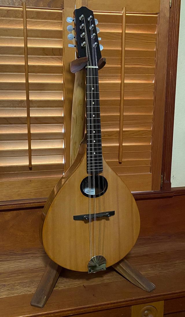Handmade Mandolin - Woodworking Project by Rhoots - Craftisian