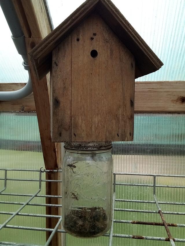 BEE Gone - Woodworking Project by Albert - Craftisian