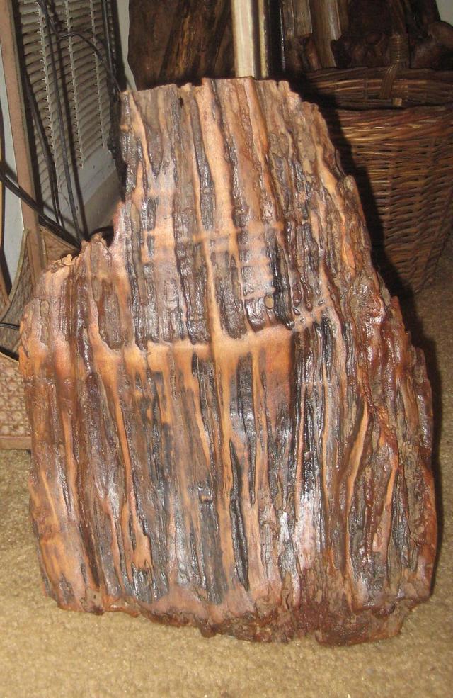 Tree knot - Woodworking Project by Harvey Daniels - Craftisian