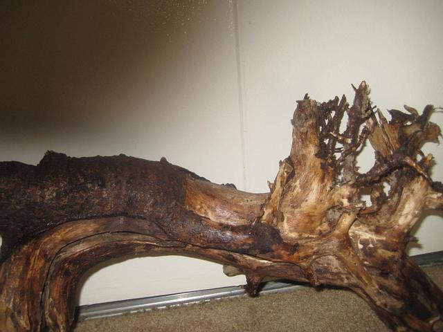 Hand carve oak root sculptur - Woodworking Project by Harvey Daniels ...