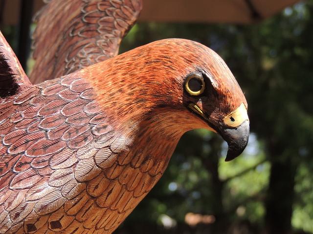Red Tail Hawk wood carving - Woodworking Project by Rolando Pupo ...