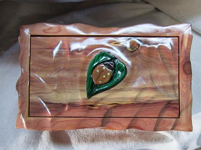 Ladybug Box - Woodworking Project by JoeyG - Craftisian